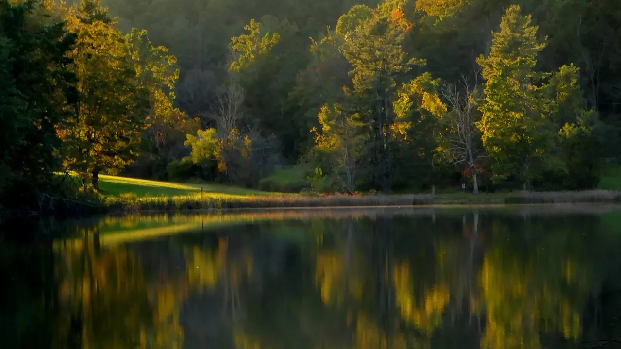 Environmental Remediation | Albemarle